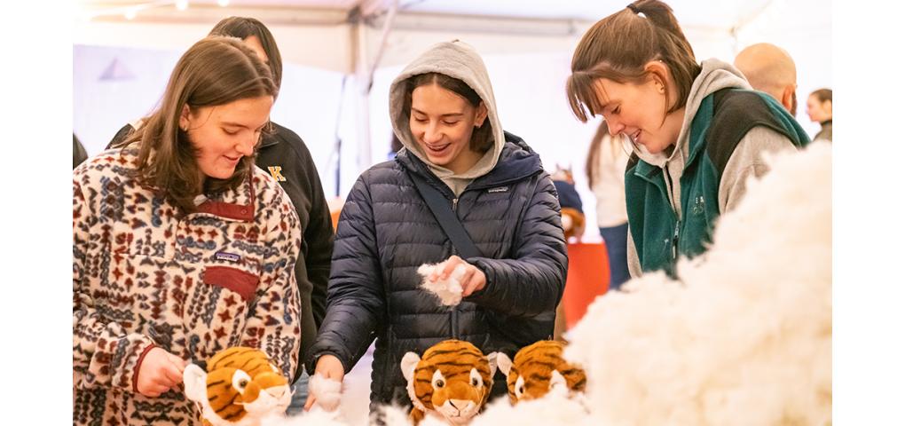 Build-a-Tiger | Events | Brick City Homecoming & Family Weekend | RIT