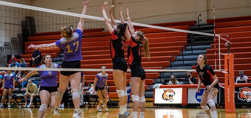 Volleyball Invitational: RIT vs Clarkson | Events | Brick City ...