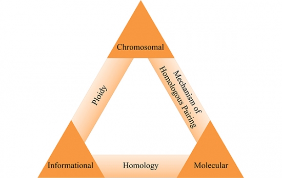 News | Center for Advancing STEM Teaching, Learning and Evaluation ...