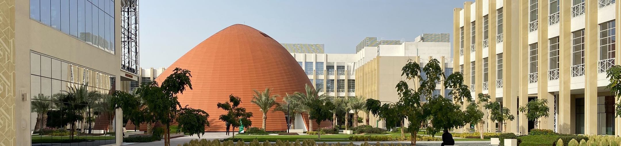 Darshan Hiranandani Fellowship | RIT Dubai | RIT