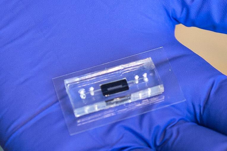 Departments | College of Engineering | RIT