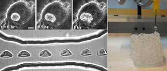 Microsystems Engineering Ph.D. | Kate Gleason College of Engineering | RIT