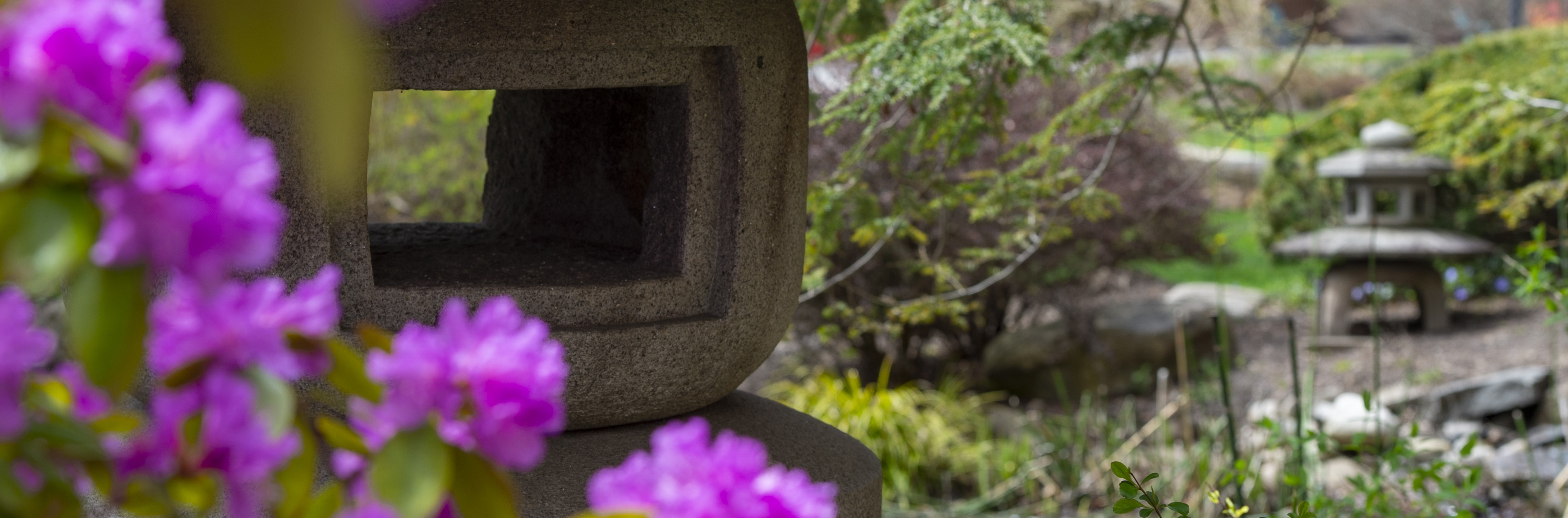 Title IX Home | Compliance & Ethics | RIT