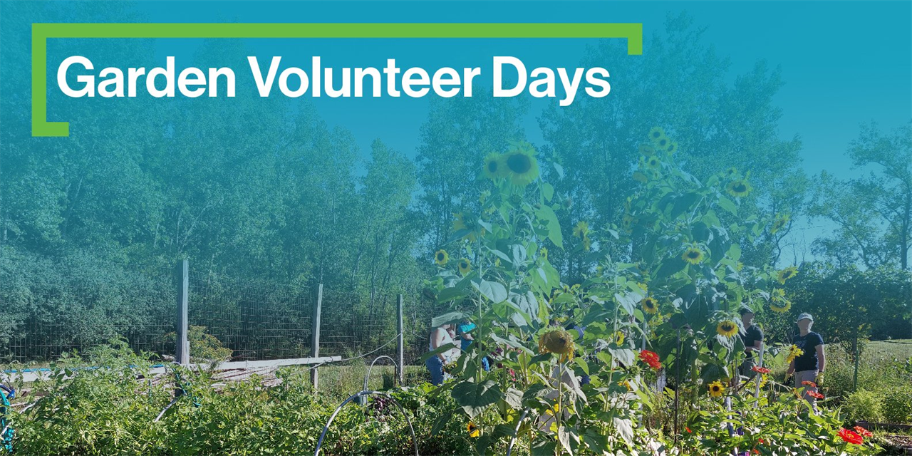 Complementary Learning | Honors Program | RIT