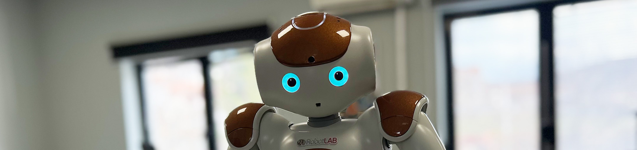 photo of our robot lab