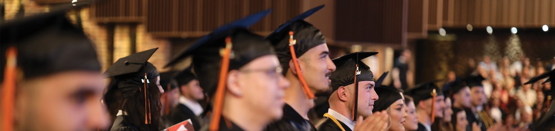 photo banner of graduation