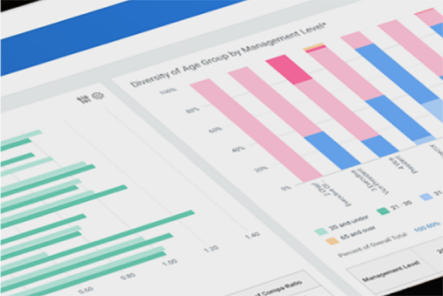 Screenshot of spreadsheet with text and colored bars
