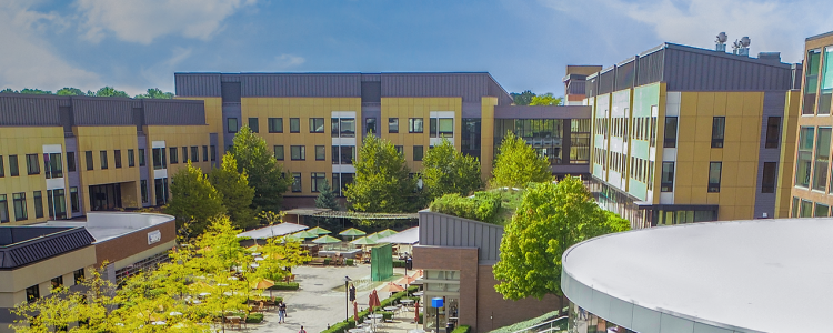 Early Decision | National Technical Institute for the Deaf | RIT