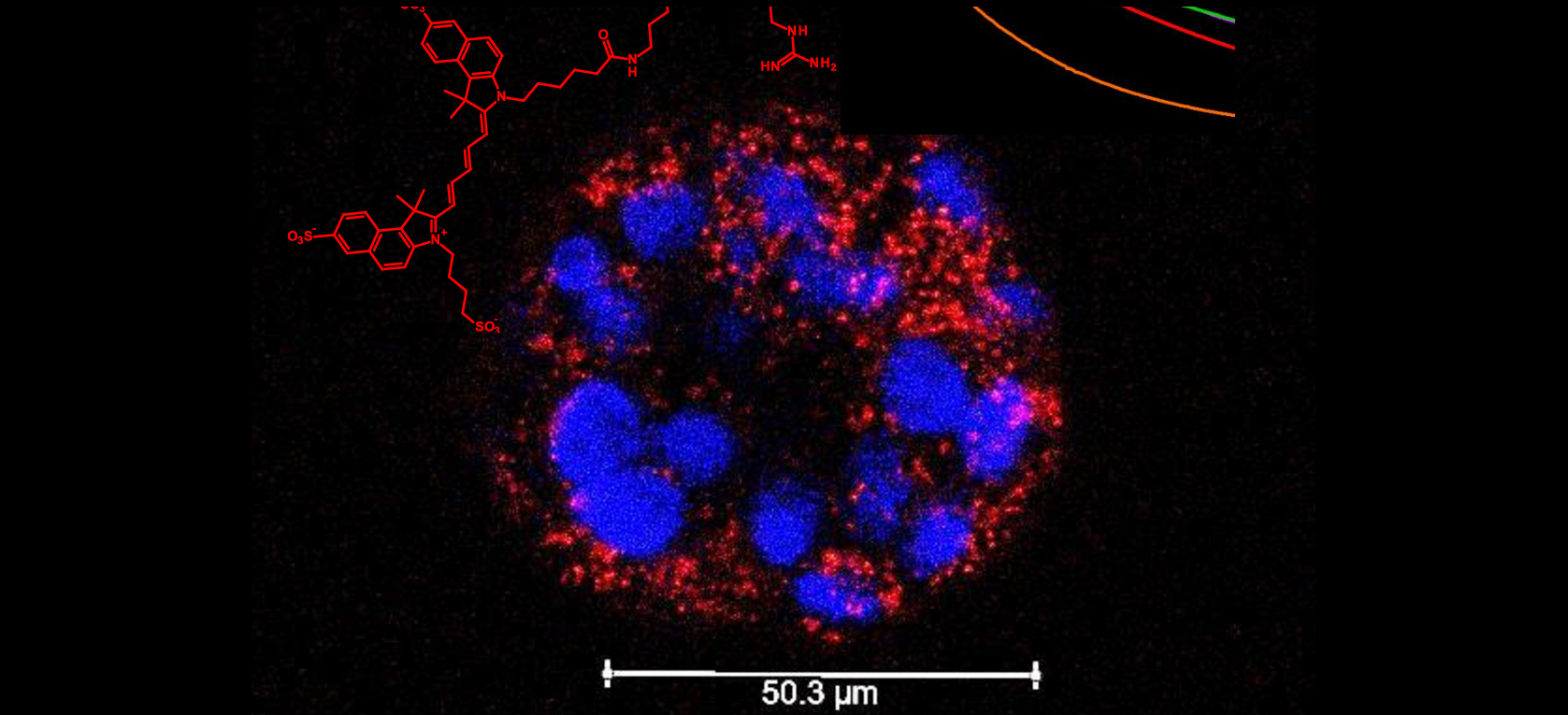 Research | Schmitthenner Molecular Imaging Lab | RIT