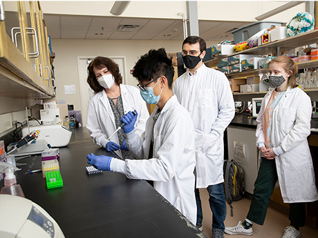 Undergraduate Life Sciences Research | College of Science | RIT