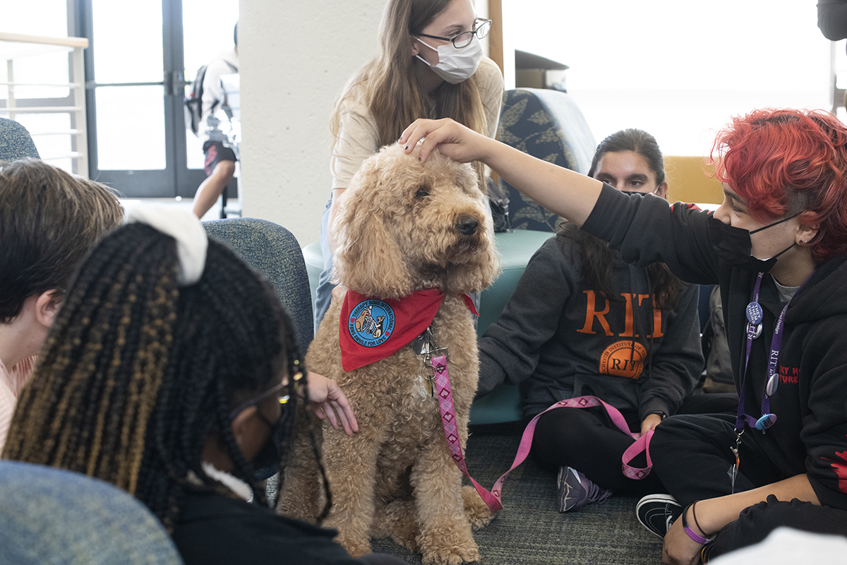 Bow Wow Wellness | RIT
