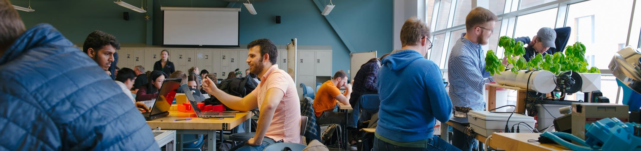 Undeclared Options | RIT