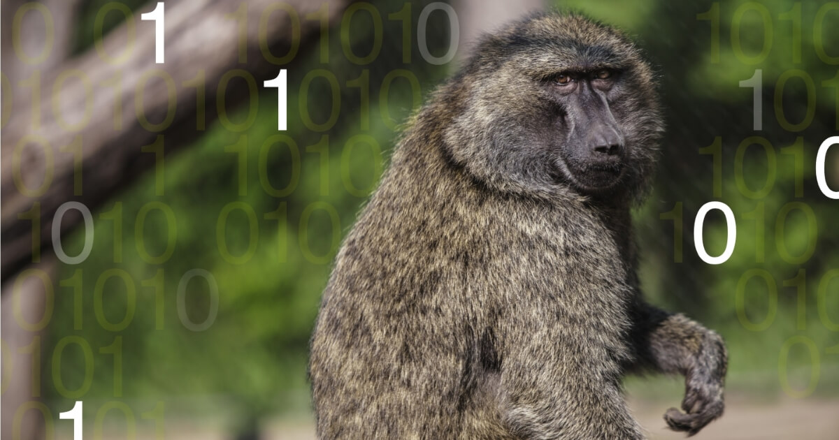 Teaching STEM by Playing with Primates | RIT