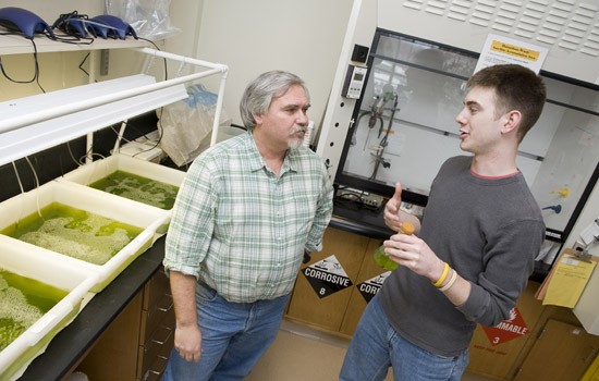 Researchers take algae out of the lab | RIT