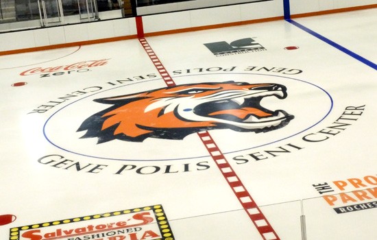 Hockey arena to be named the Gene Polisseni Center | RIT