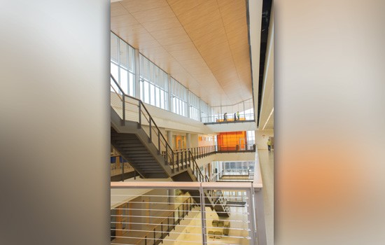 How RIT has become a Leader in Sustainability | RIT